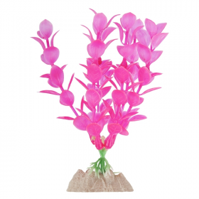 GloFish Plant Medium Pink – Total Aquatics Inc.